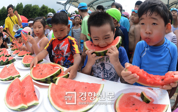 경향포토 수박 빨리먹기대회