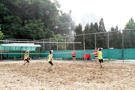 포토 비치발리볼 태극낭자 공에 집중