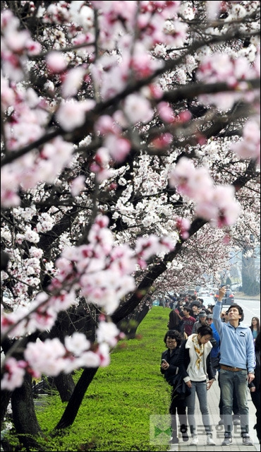 사진 찍기 좋은 명소 25곳이곳으로 연인과 봄나들이 출발