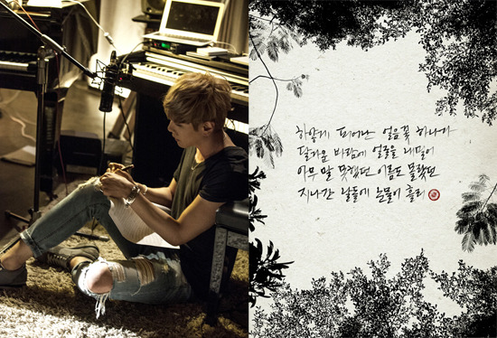 박효신 야생화 한 편의 시와 같은 가사 일부 기습공개
