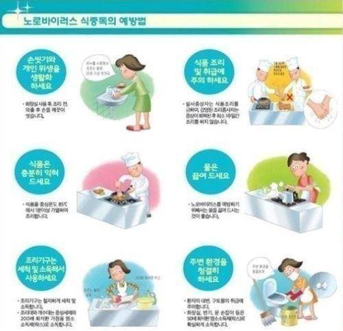 겨울 장염 증상 겨울 유행 노로바이러스 예방법은