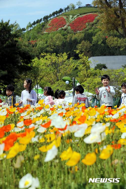 함평나비축제 보러 왔어요~