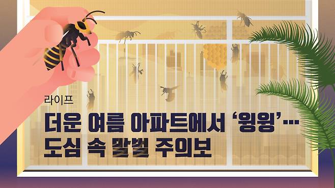 라이프 더운 여름 아파트에서 윙윙도심 속 말벌 주의보
