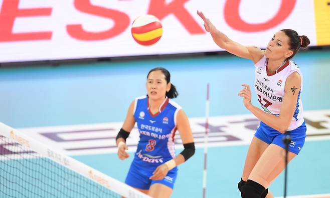 [KOVO컵] 돌아온 이바나, "한국은 제2의 고향..도로공사에서 뛰길 원했다"