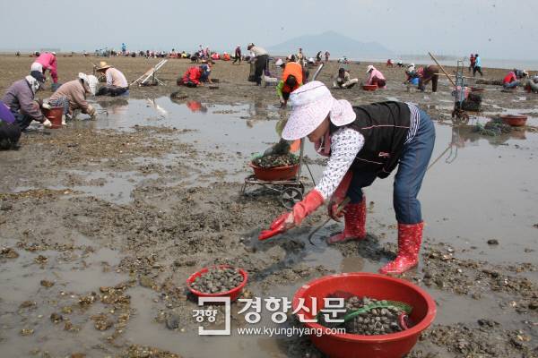 장흥 득량만 전국 첫 청정해역 갯벌생태산업특구 명예