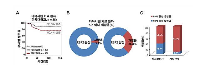 유방암 치료제 내성 원인 찾았다유방암 표적 치료 가능성 열려
