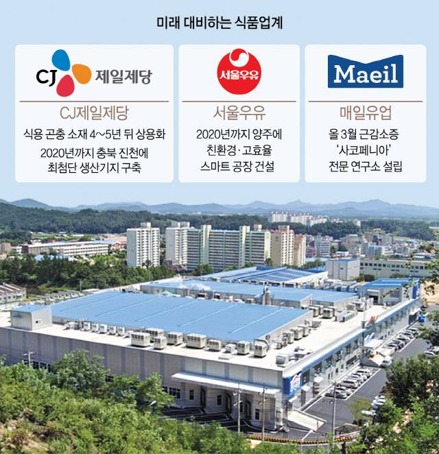 무한확장하는 푸드테크 식용곤충이 단백질 대체할 날 머지 않았죠