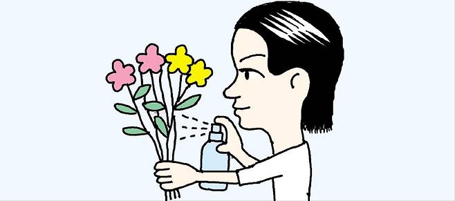 리빙포인트 꽃 말릴 땐 헤어스프레이 살짝