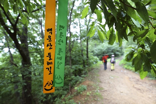 연합이매진 광양 백운산 천년의 숲길