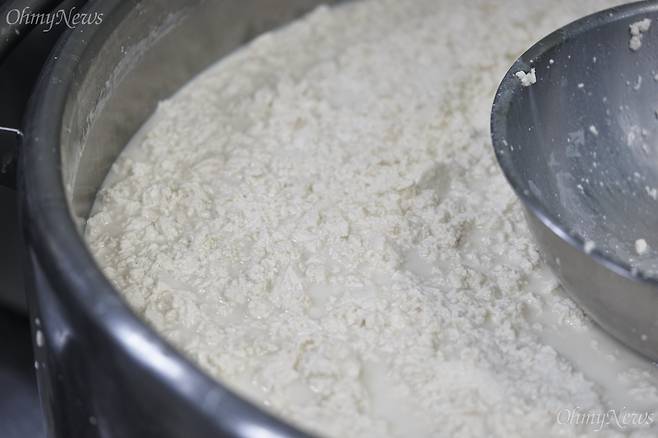 김진영 Md의 식탁 콩 맛이 살아있는 두부 응고제에 따라 달라진다