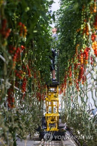BELGIUM URBAN FARMING