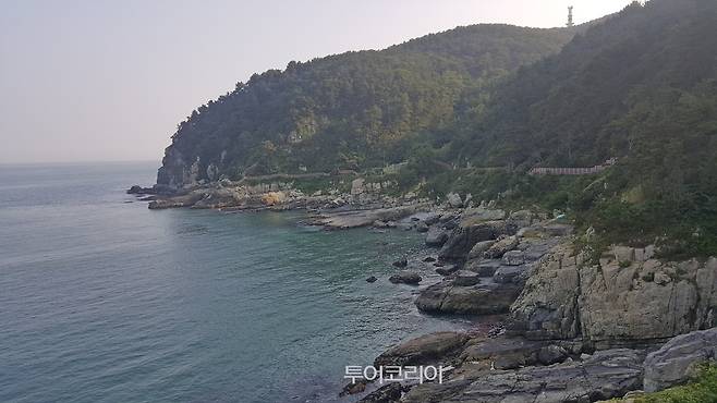 부산의 아름다움 카메라에 담아볼까나