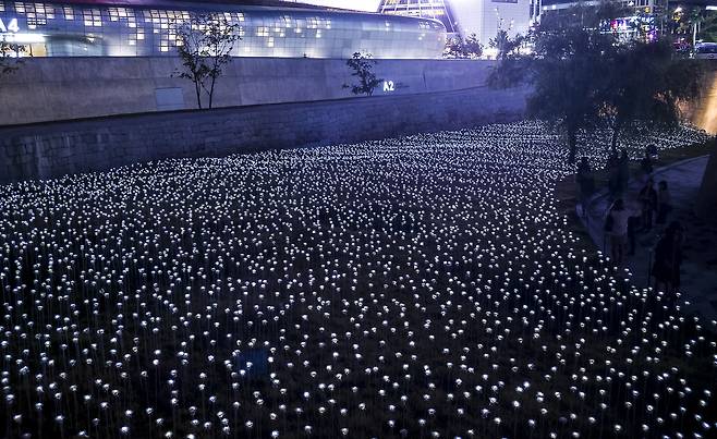 [권혁재 핸드폰사진관] 밤에 피는 꽃