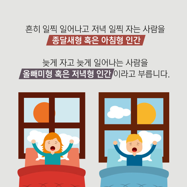 건강 스펀지 아침형 인간 Vs 저녁형 인간 누가 성공할까