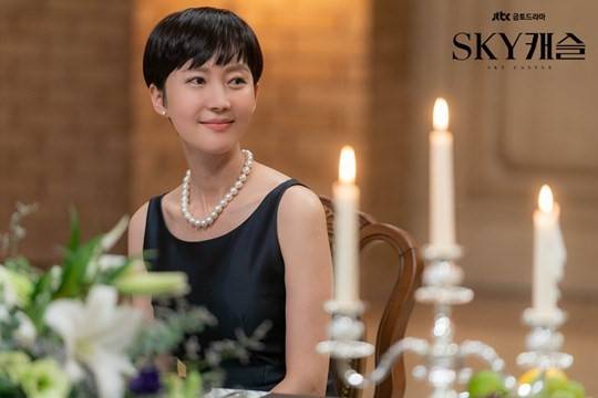 [Y이슈] 'SKY캐슬' 22.3%..'도깨비' 넘고 비지상파 새 역사