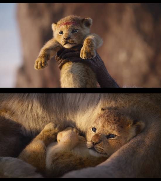 디즈니 실사 영화 '라이온킹' 베일 벗었다, 60초 레전드 영상 공개