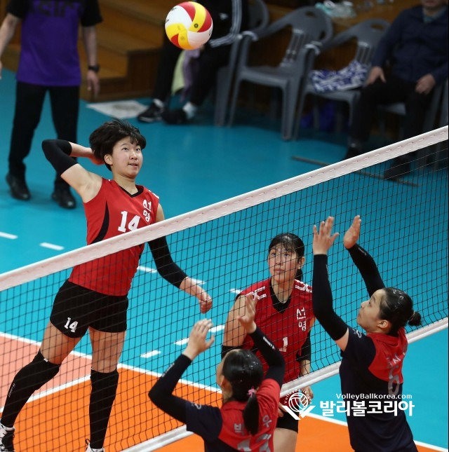 종별배구 선수권 공격하는 김세인