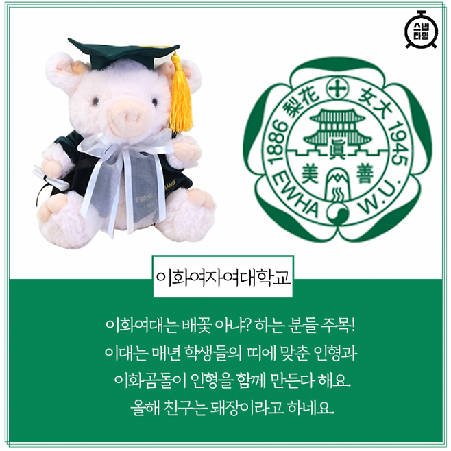 카드뉴스 대학별 졸업인형 그것이 알고 싶다