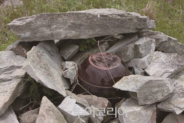 쥐를 모시는 섬 갈도