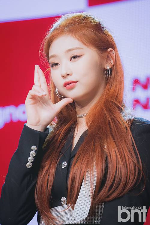 [bnt포토] 시그니처 벨 '큐티&도도, 진현주'