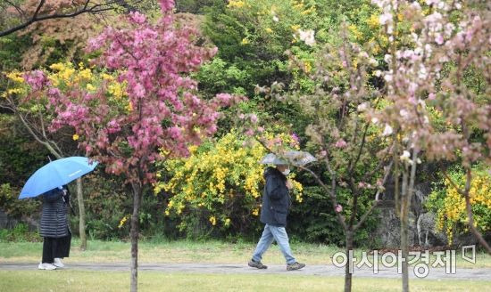 포토 봄비 맞으며 걷는 산책길