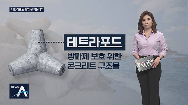 팩트맨 바다의 블랙홀 테트라포드 출입금지 가능할까
