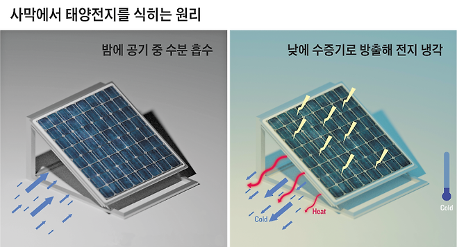 If 뜨거운 사막에 밤이 오면 공기서 냉각수 뽑아낸다