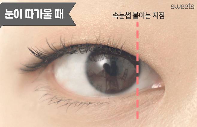 통 속눈썹 Vs 분할가닥 속눈썹 붙이는 방법 뷰 Biew