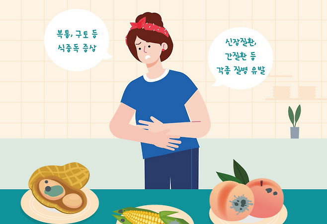 겨울철 견과류 곰팡이 막으려면 Realfoods