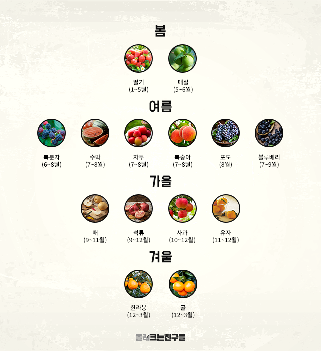 계절별 몸에도 다이어트에도 좋은 제철과일 몰래크는친구들