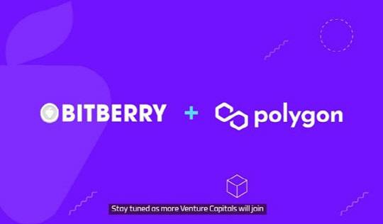 비트베리(Bitberry)-폴리곤(Polygon), 파트너쉽 체결