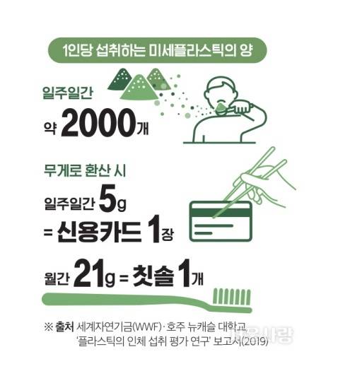 1인당 일주일간 섭취하는 미세플라스틱의 양이 신용카드 한 장 서울시