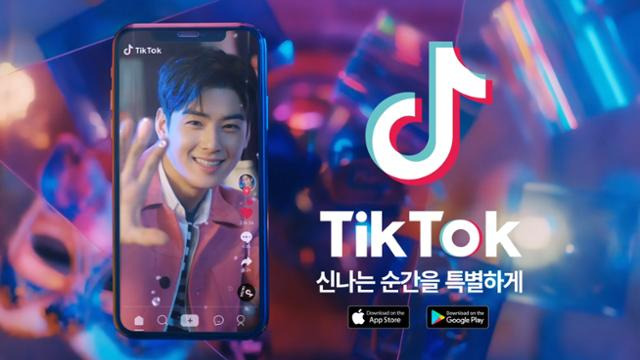 올해 소셜미디어 업계 최대 위너는 틱톡