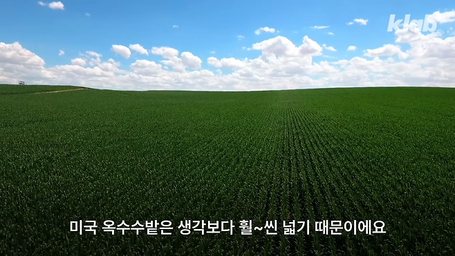 왜 미드에선 항상 옥수수밭이 나올까 크랩 Klab