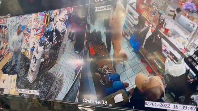 총든 무장강도 앞발 치켜들어 막았다, 점원 구한 반려견 '총알이'