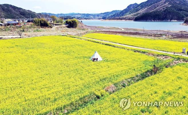 형형색색 봄꽃에 매료된 주말화창한 날씨에 나들이객 북적