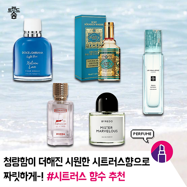 청량함이 더해진 시원한 시트러스 향으로 짜릿하게 시트러스 향수 추천 트렌드숲