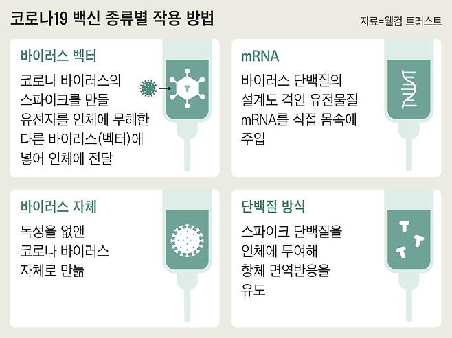모든 코로나 막아낼 범용 백신 원숭이 실험서 성공 사이언스카페