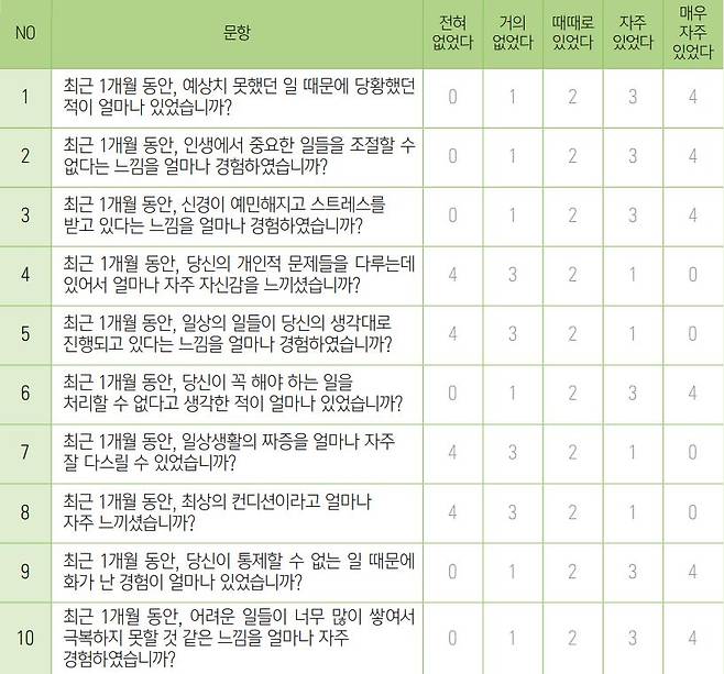 스트레스 테스트 문항 10내 스트레스 점수는