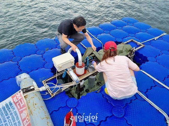 탄소 먹는 하마③ 블루카본 성공하려면 바다숲 효과 평가 급선무