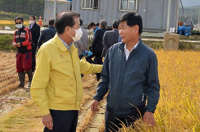 45년만에 쌀값 폭락강화군 강화섬쌀 팔아주기 운동 전개