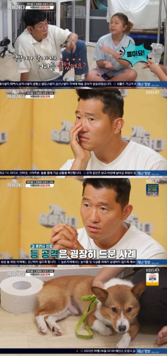 'Gaohulung' Kang Hyung-wook , after training stops, mixed up "140 times ...