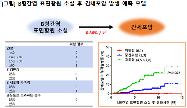B형간염 완치 후 간암위험 예측모델 세계 첫 개발