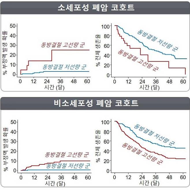 폐암 방사선 치료 심방세동 유발 예측인자 규명