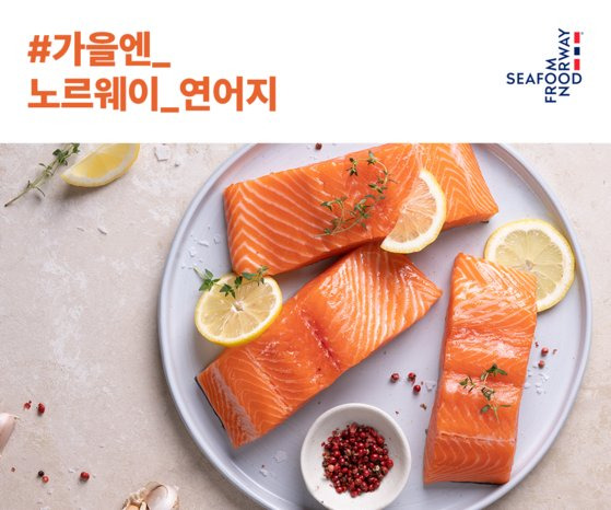 알림 홈파티·건강·가족·캠핑 언제 먹어도 좋은 연어 요리 배워요