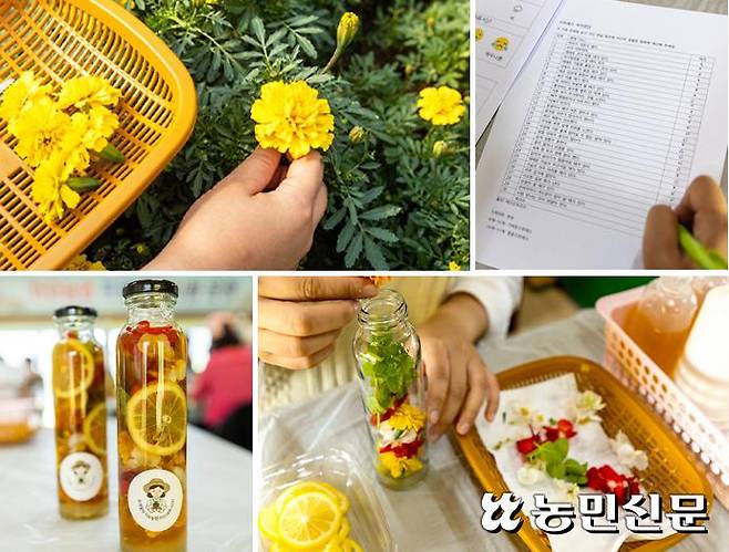 꽃이 예뻐유 향이 좋아유 웃다가 어느새 치유