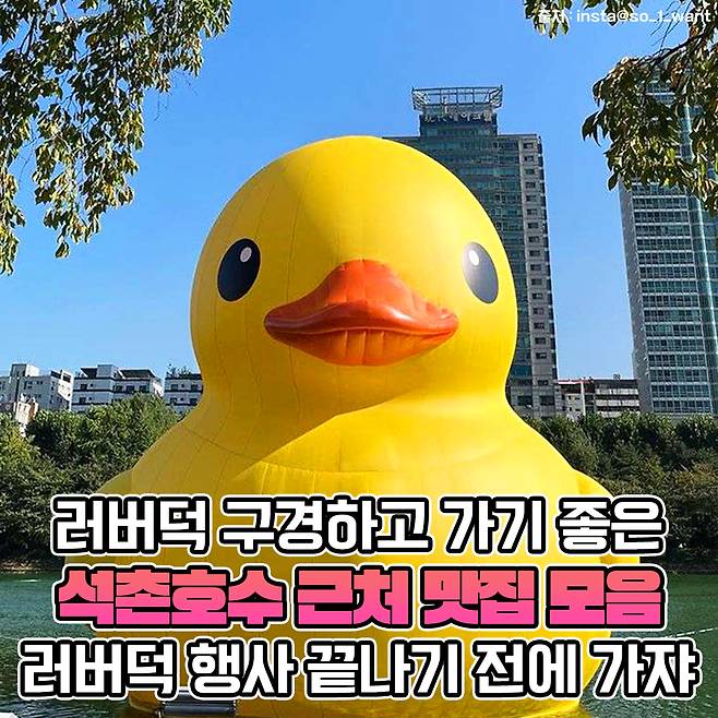 러버덕 보고 데이트하기 딱 좋은 석촌호수 근처 맛집 밥심