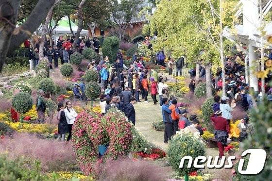 국향·달빛 주제 영암 월출산 국화축제 오는 29일 개막