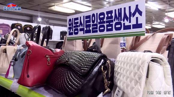 샤넬·버버리·디올 北백화점 채운 짝퉁 명품 포착