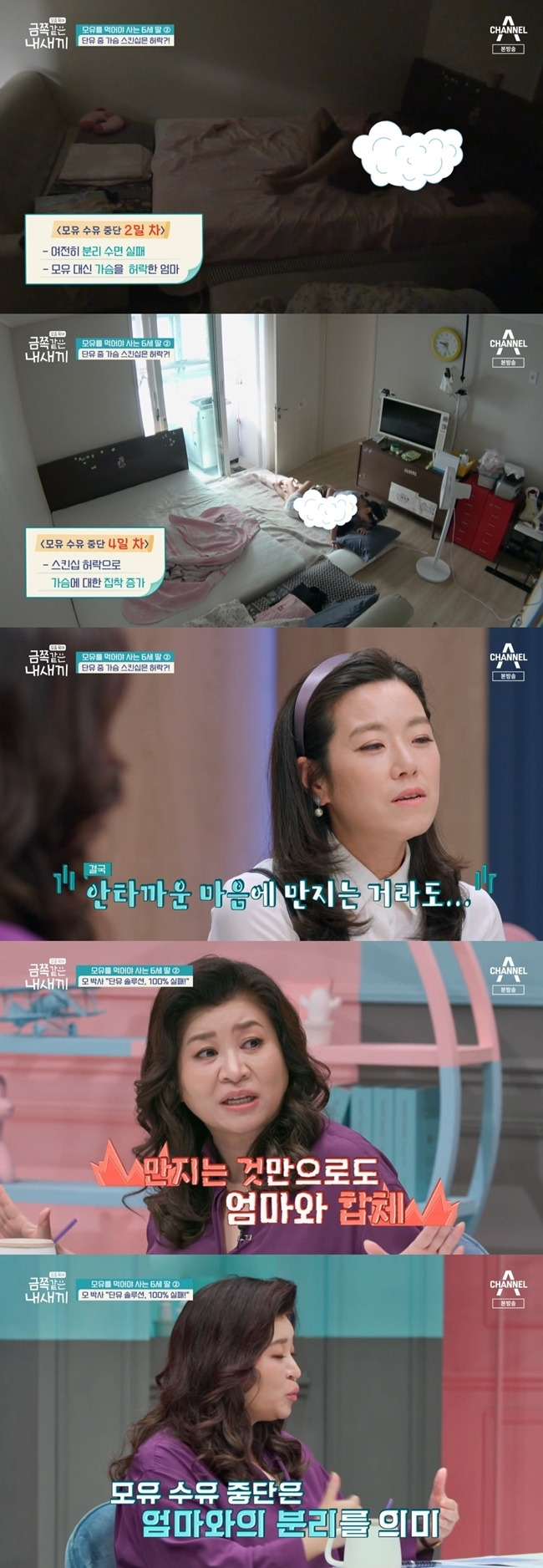 모유 중단 후 엄마 가슴 찾는 금쪽이오은영 솔루션 실패 이상한 덩어리 같다금쪽같은